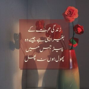 50 Deep Urdu Quotes About Life | One Line Zindagi Quotes